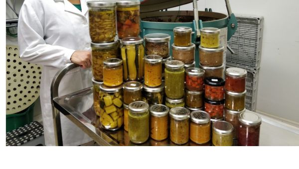 Elaborer des produits transformés avec des fruits et des légumes ...