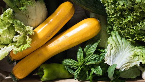 Agir sur la production bio - GABBAnjou